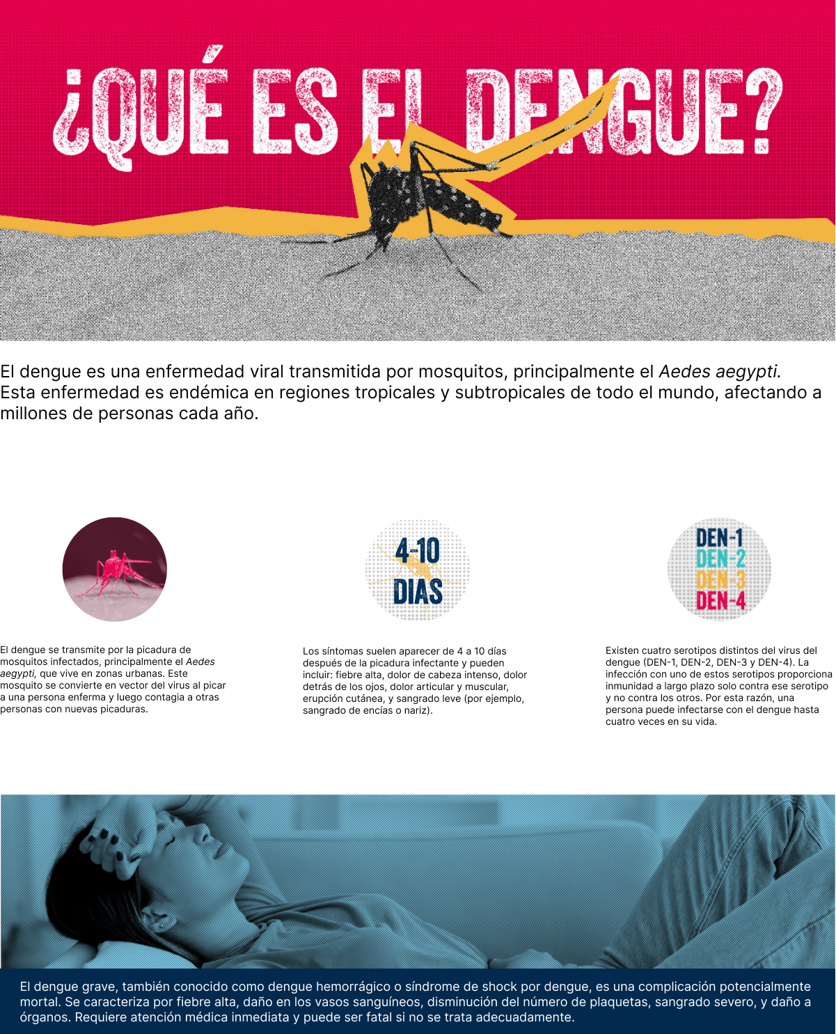 ¿Qué es el dengue? | Desafío Dengue Argentina